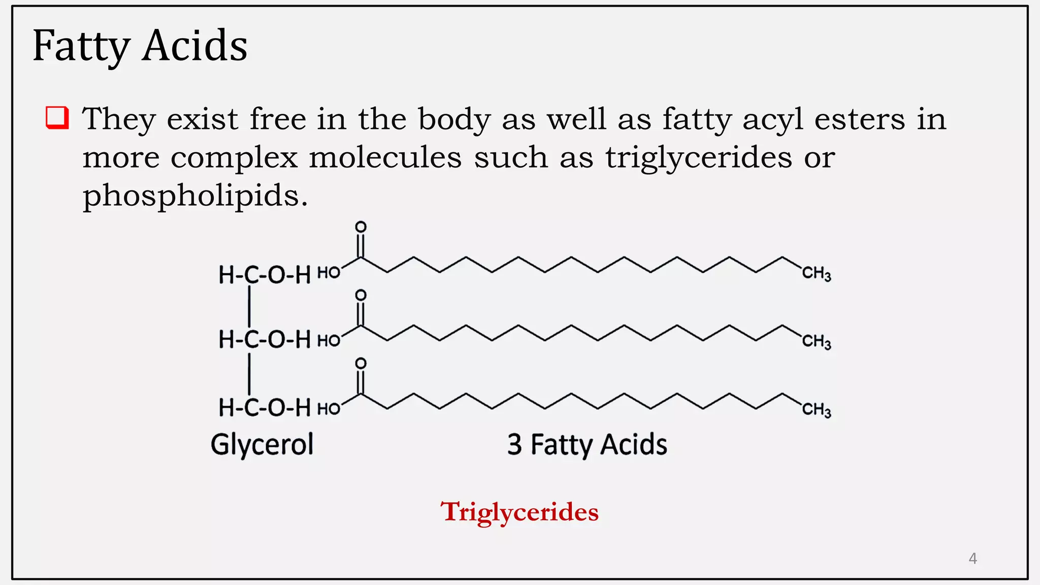 Fatty Acid Biosynthesis | PDF