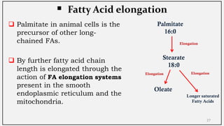 Fatty Acid Biosynthesis | PDF