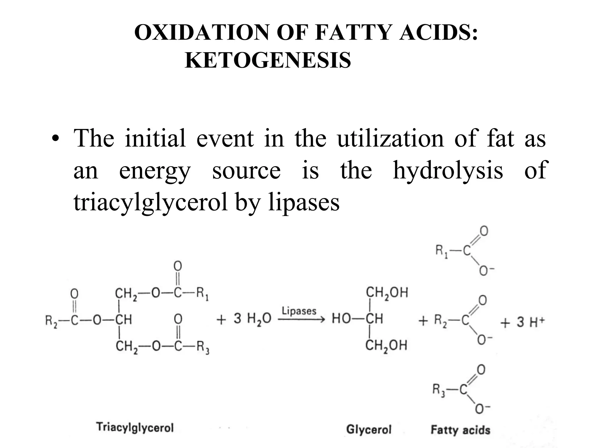 Fatty acid metabolism, oxidation of fats.pdf