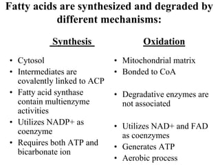 Fatty acid metabolism, oxidation of fats.pdf