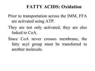 Fatty acid metabolism, oxidation of fats.pdf