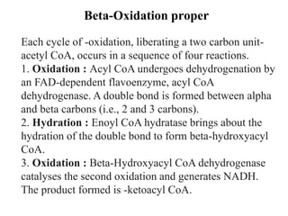 Fatty acid metabolism, oxidation of fats.pdf