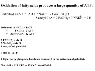Fatty acid metabolism, oxidation of fats.pdf