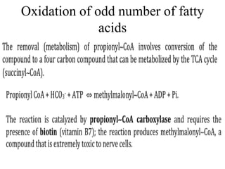 Fatty acid metabolism, oxidation of fats.pdf