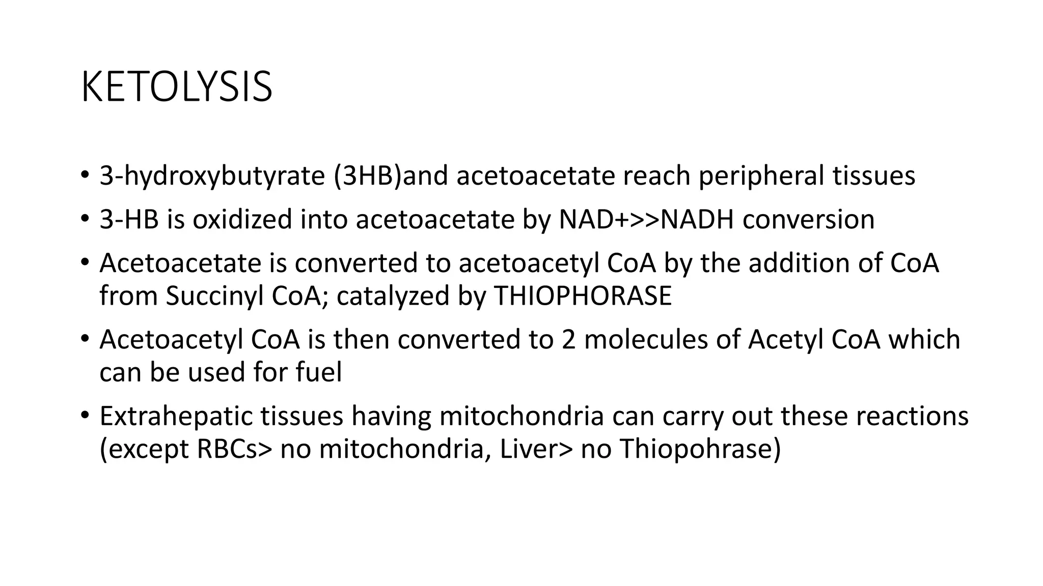 Fatty acid, ketone body, tag metabolism | PPTX