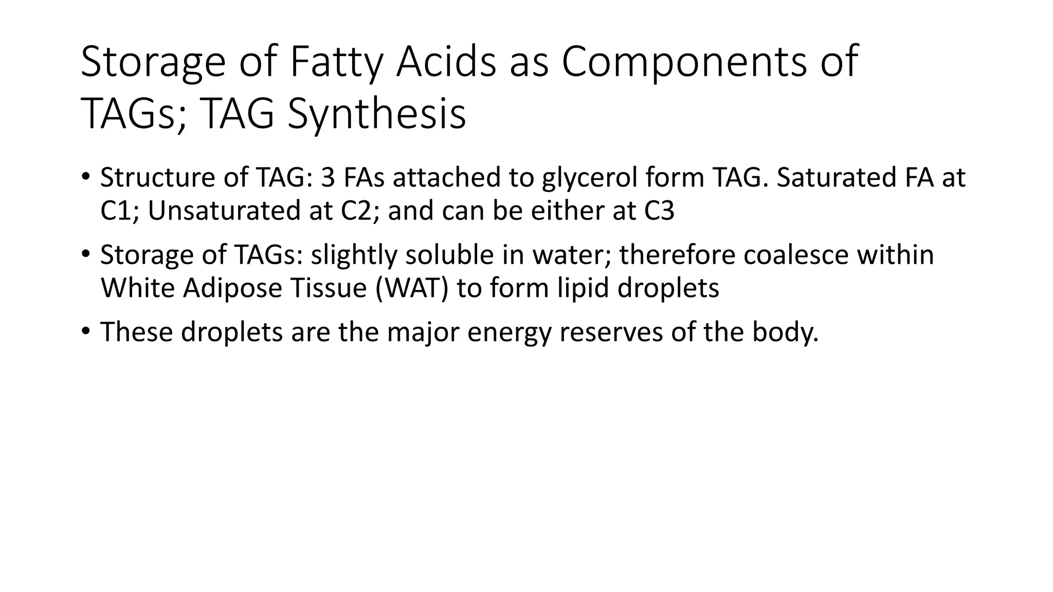 Fatty acid, ketone body, tag metabolism | PPTX