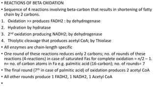 Fatty acid, ketone body, tag metabolism | PPTX | Chemistry | Science