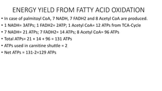 Fatty acid, ketone body, tag metabolism | PPTX