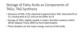 Fatty acid, ketone body, tag metabolism | PPTX