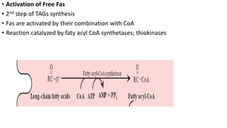 Fatty acid, ketone body, tag metabolism | PPTX