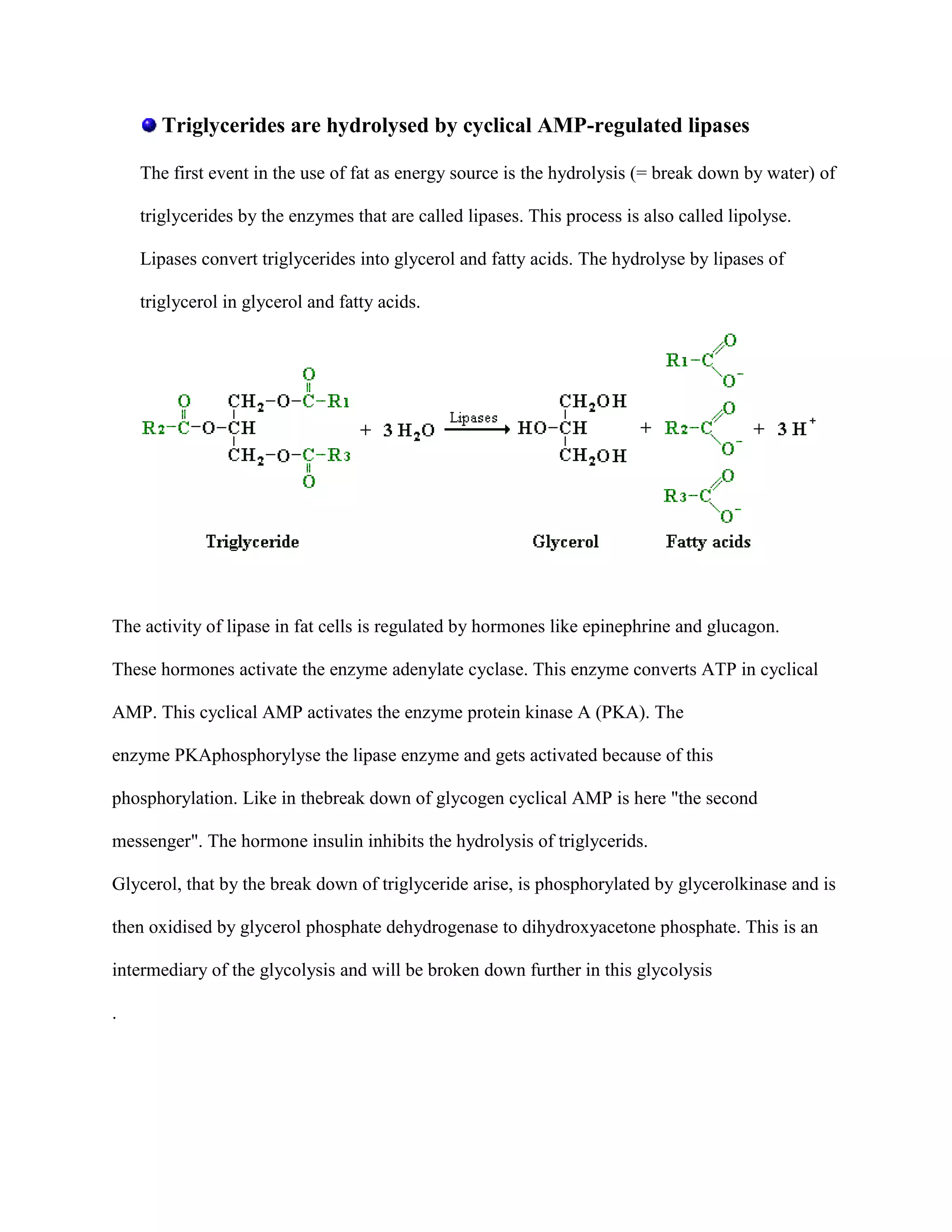 Fatty acid metabolism | DOCX