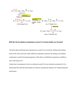 Fatty acid metabolism | DOCX