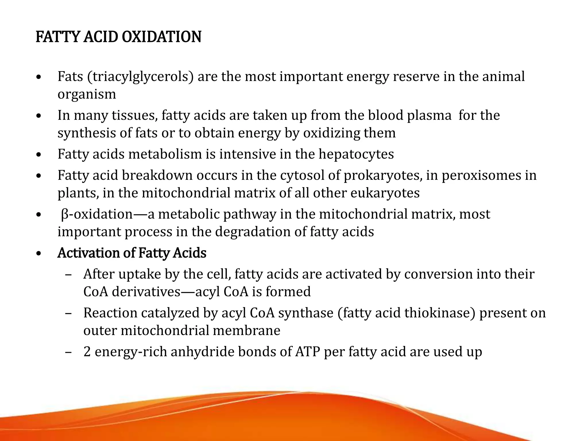Fatty Acid Metabolism.pptx | Endocrine and Metabolic Diseases ...