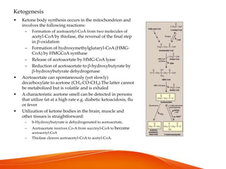 Fatty Acid Metabolism.pptx