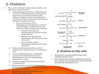 Fatty Acid Metabolism.pptx | Endocrine and Metabolic Diseases ...