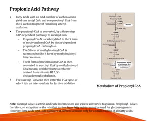 Fatty Acid Metabolism.pptx | Endocrine and Metabolic Diseases ...