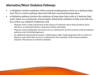 Fatty Acid Metabolism.pptx | Endocrine and Metabolic Diseases ...