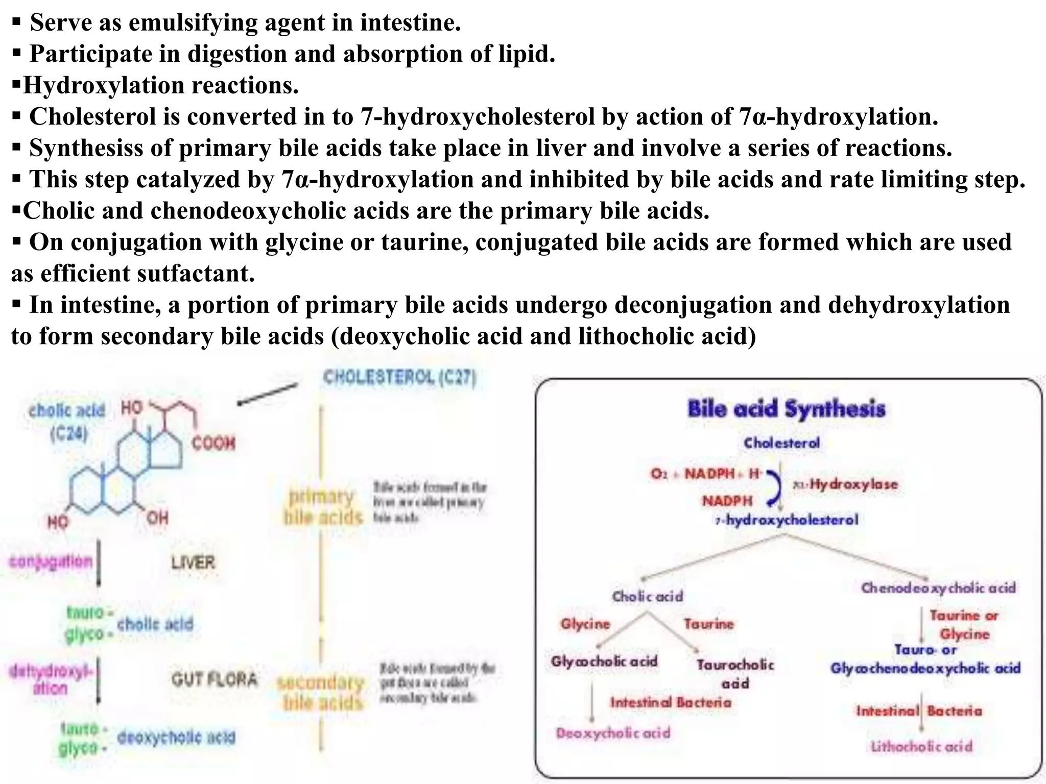 Fatty acid metabolism.ppt