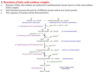 Fatty acid metabolism.ppt