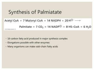lipid biosynthesis | PPTX