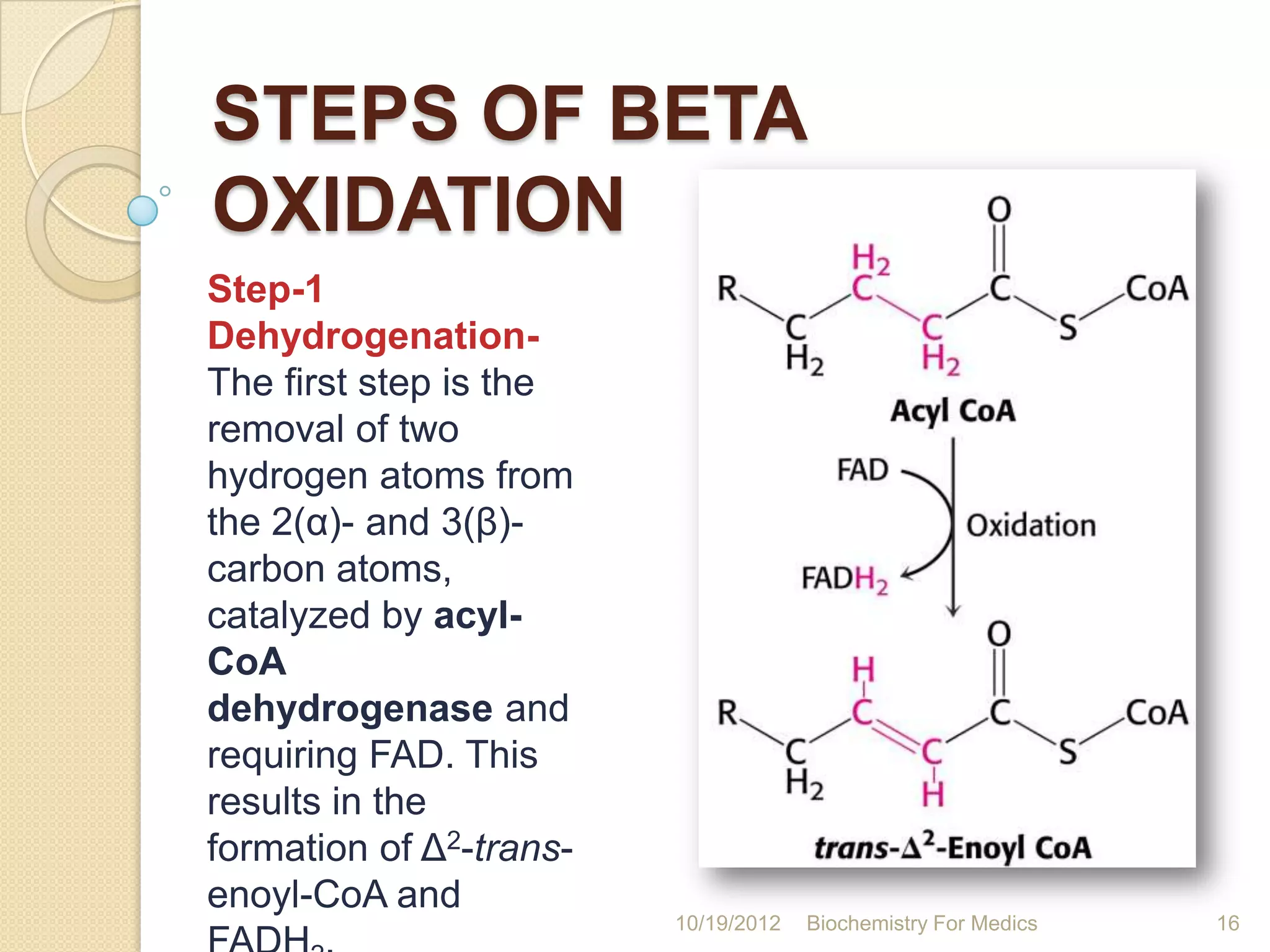 Fatty acid oxidation | PPTX