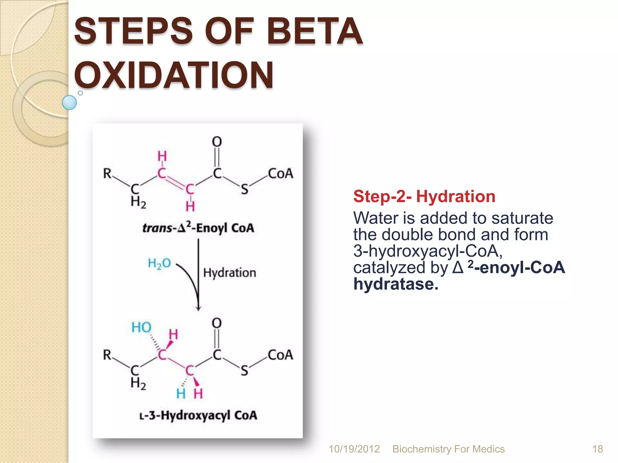 Fatty acid oxidation | PPTX
