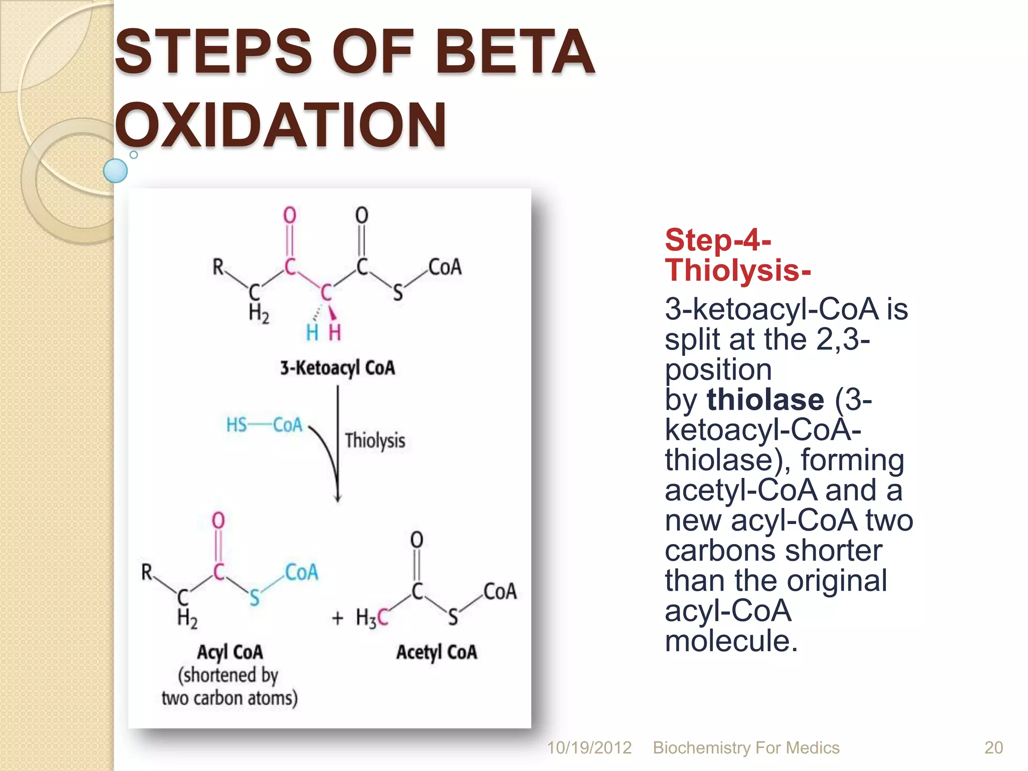 Fatty acid oxidation | PPTX