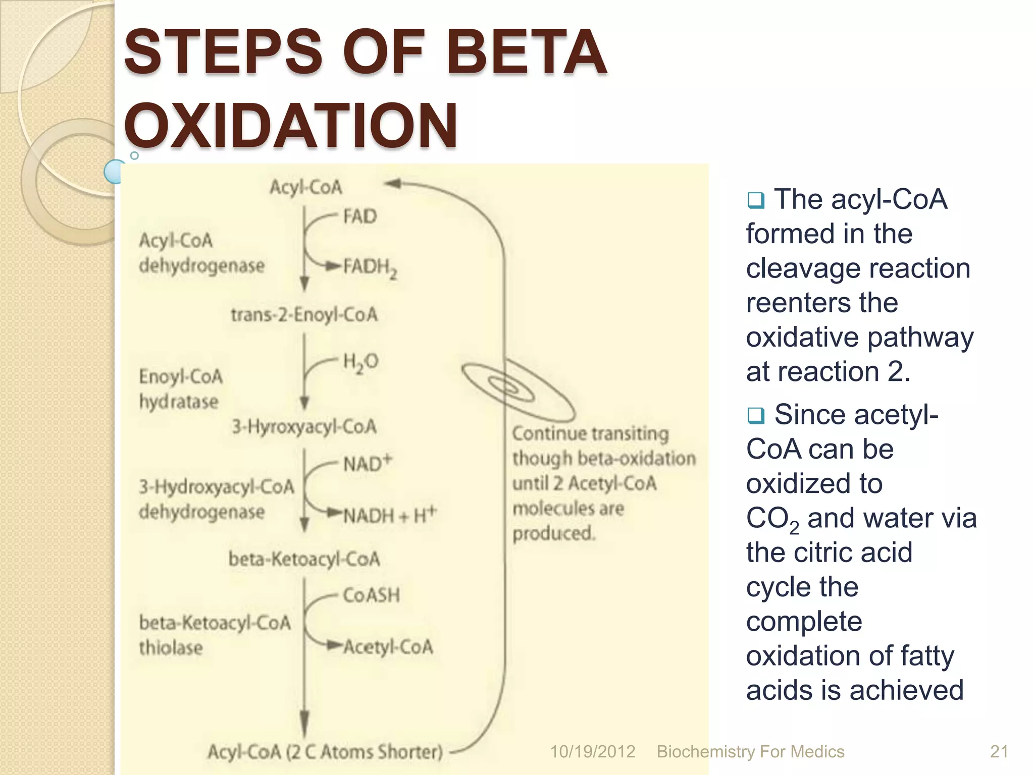 Fatty acid oxidation | PPTX | Chemistry | Science