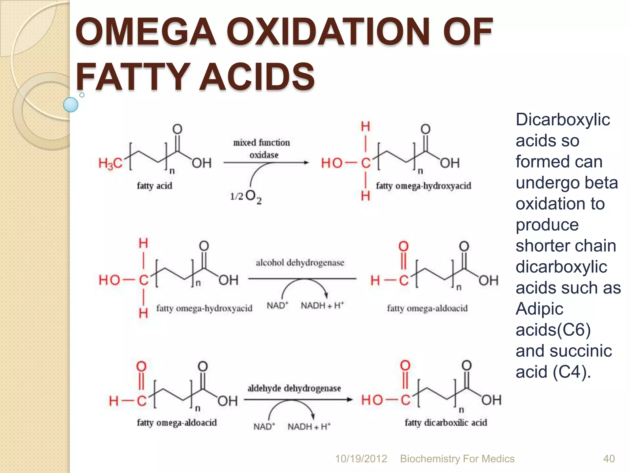 Fatty Acid Oxidation Pptx