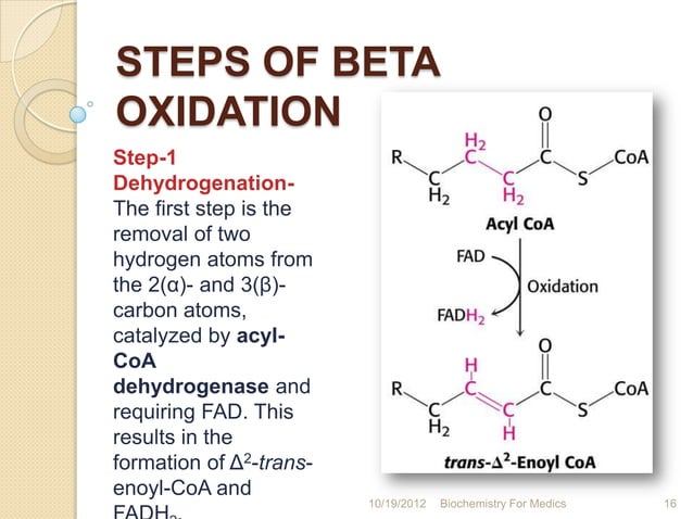 Fatty acid oxidation | PPTX | Chemistry | Science