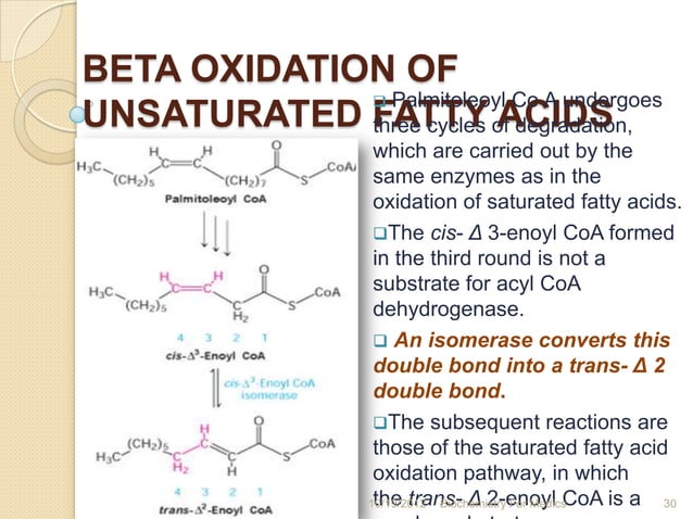 Fatty acid oxidation | PPTX | Chemistry | Science