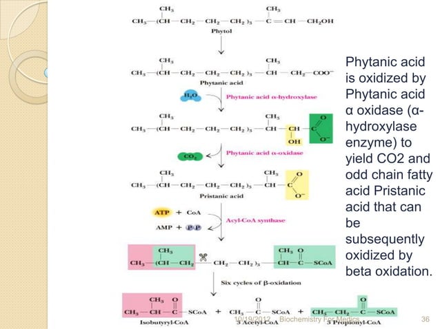 Fatty acid oxidation | PPTX | Chemistry | Science