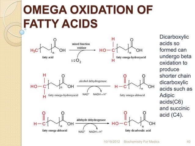Fatty acid oxidation | PPTX | Chemistry | Science