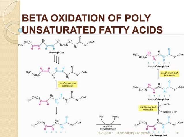 Fatty acid oxidation | PPT