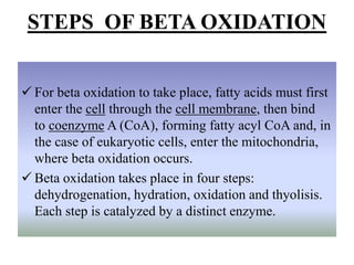 FATTY ACID OXIDATION | PPTX