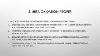beta oxidation Fatty acid oxidation.pptx