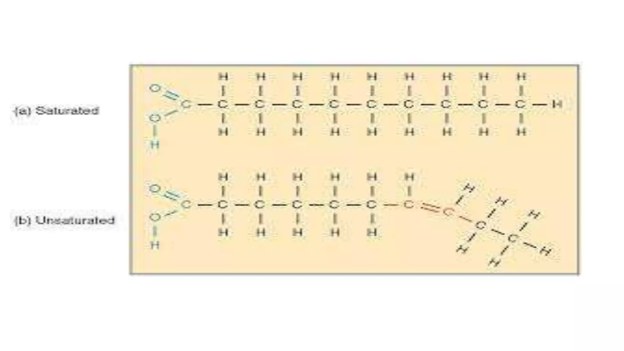 Fattyacids classification, structure and properties | PPTX