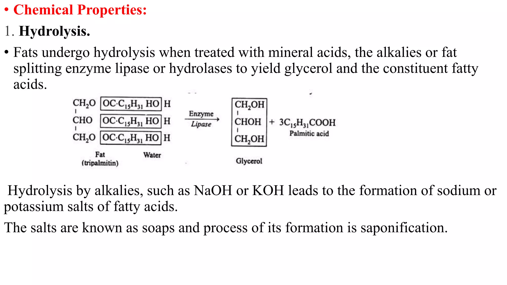 Fattyacids classification, structure and properties | PPTX