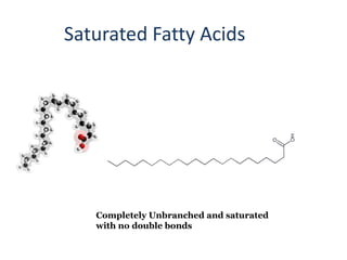 fatty acids.pptx