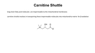 Fatty acids and their biosynthesis.pptx