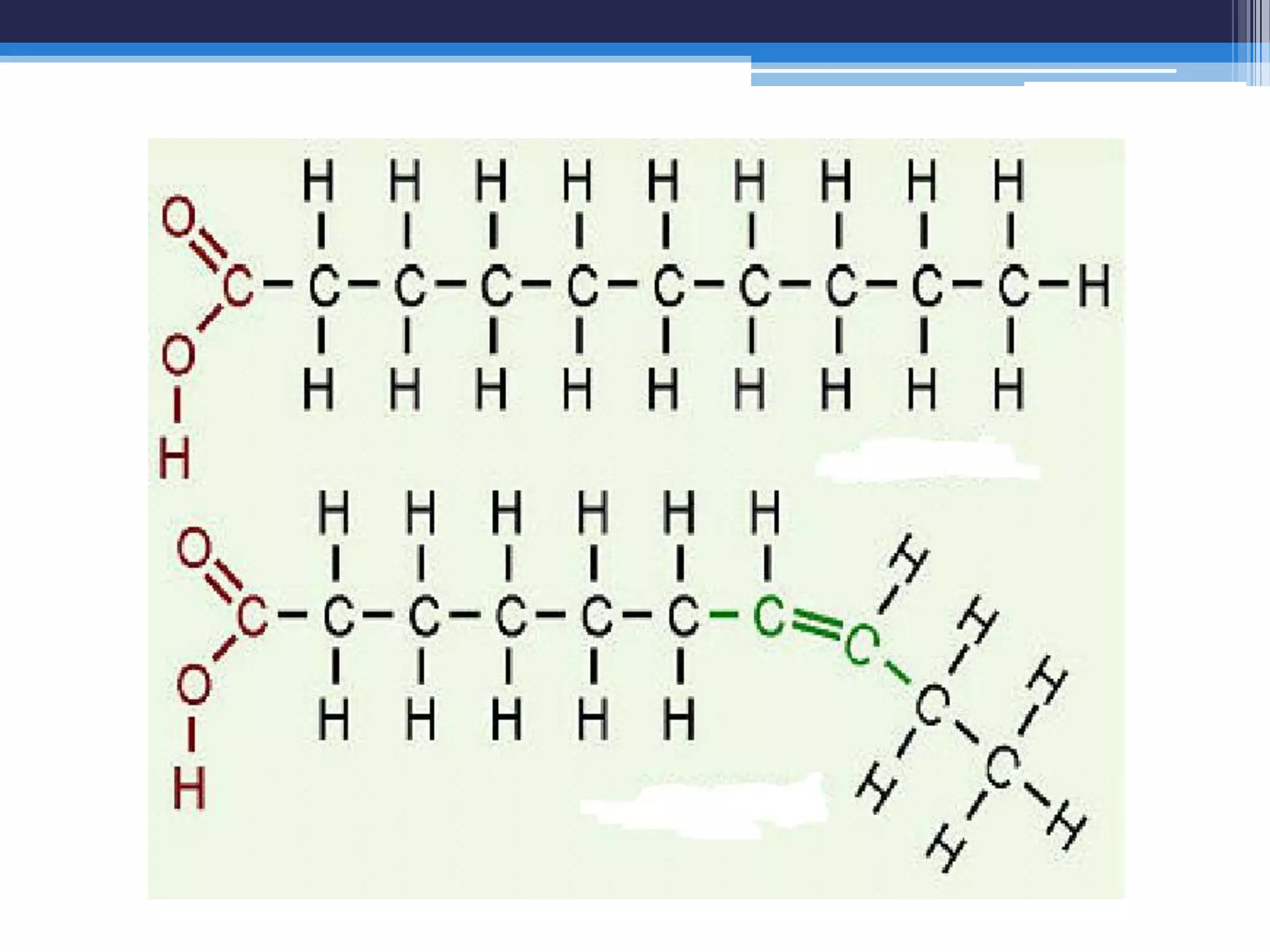 Fatty acids and triglycerides | PPTX