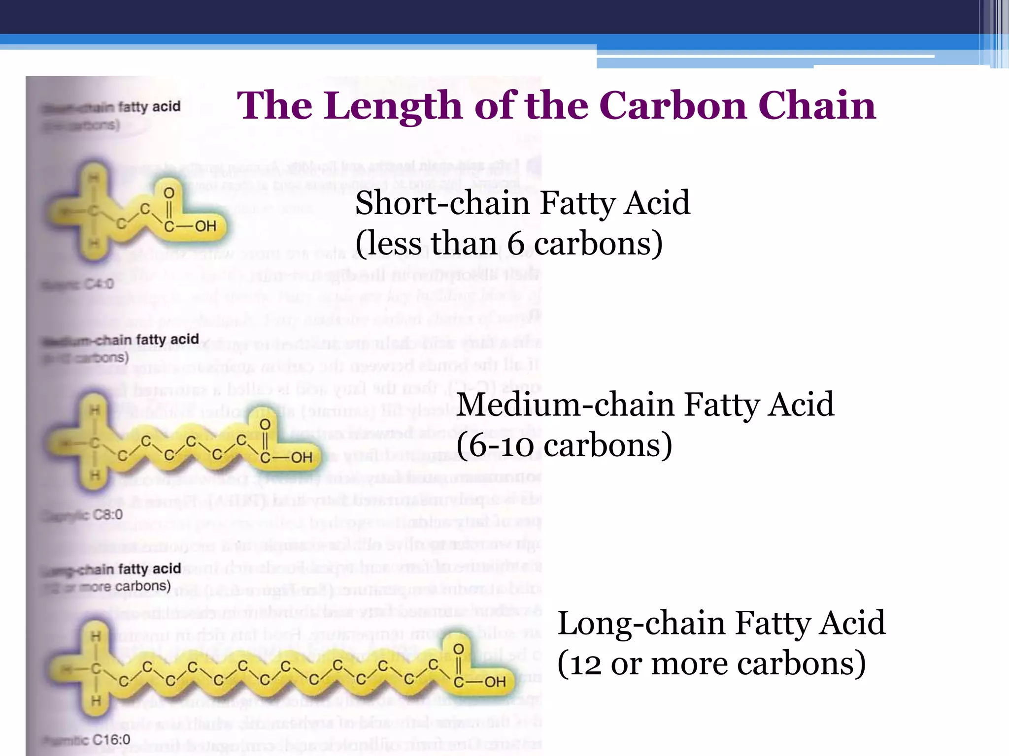 Fatty acids and triglycerides | PPTX