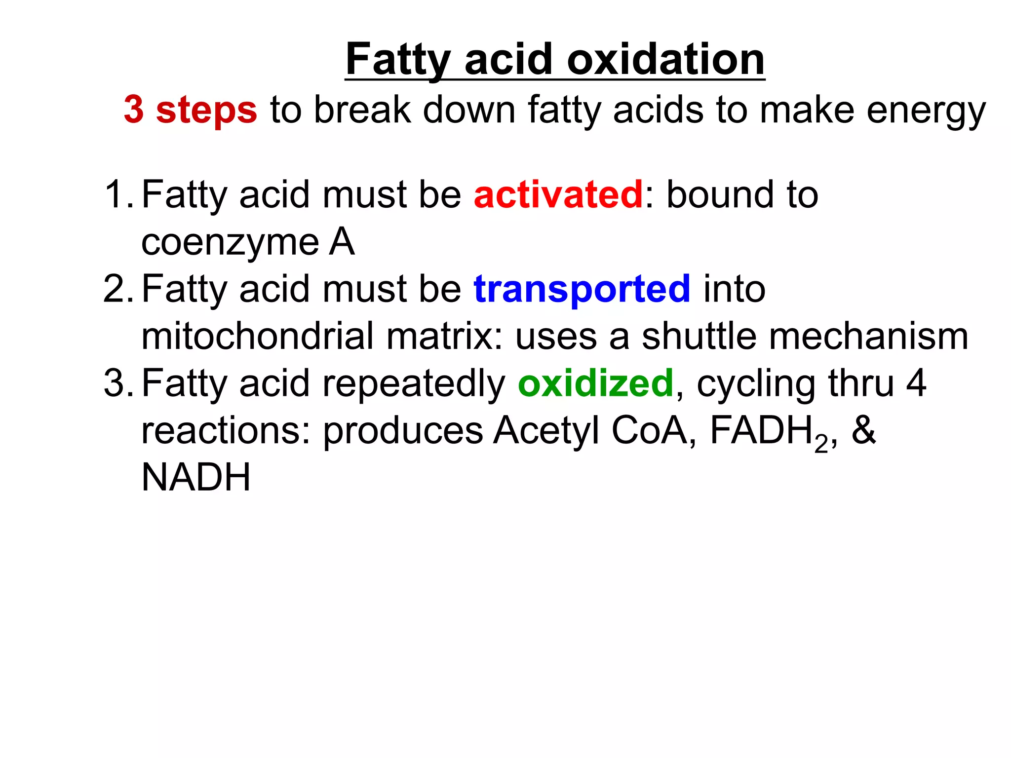 Fatty Acids Oxidation.ppt