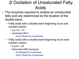Fatty Acids Oxidation.ppt