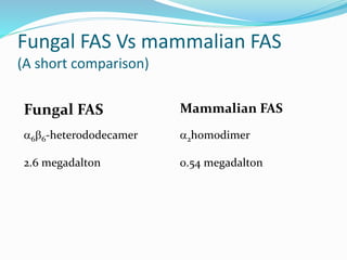 Fatty acid synthase | PPTX