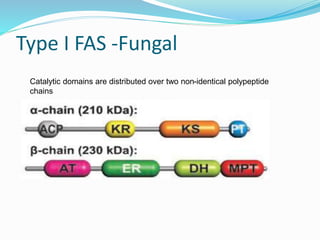 Fatty acid synthase | PPTX