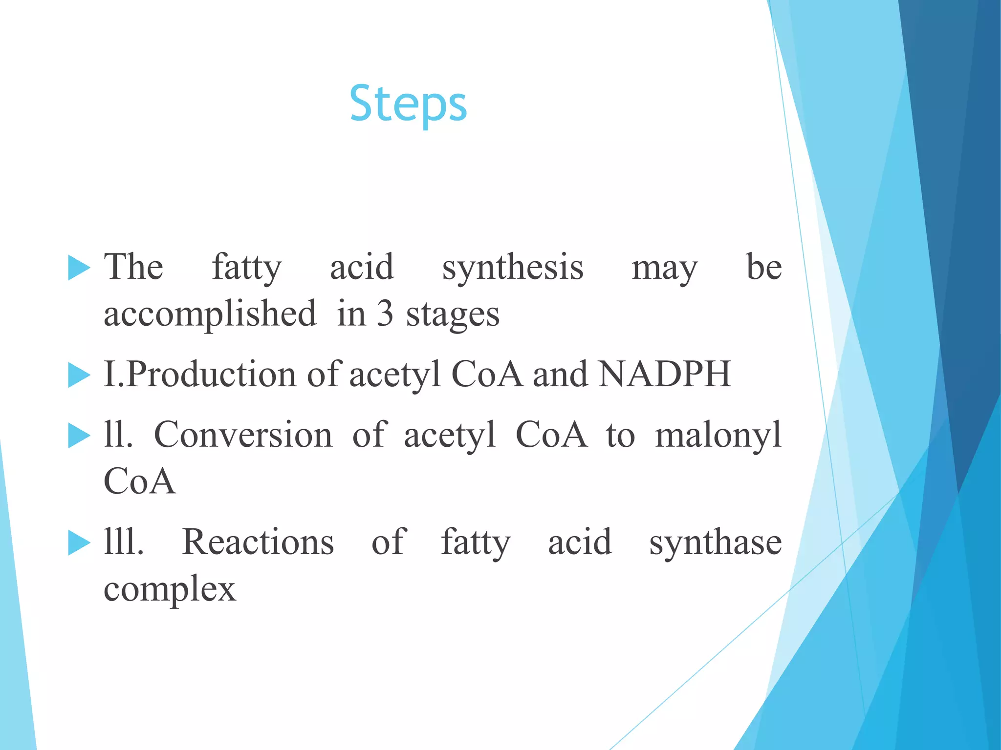 Fatty acid Biosynthesis | PPTX | Chemistry | Science