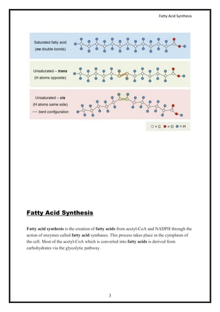 Fatty acid synthesis | PDF