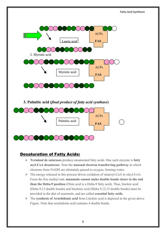 Fatty acid synthesis | PDF
