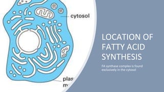 Fatty acid synthesis:- Everything you need to know | PPT
